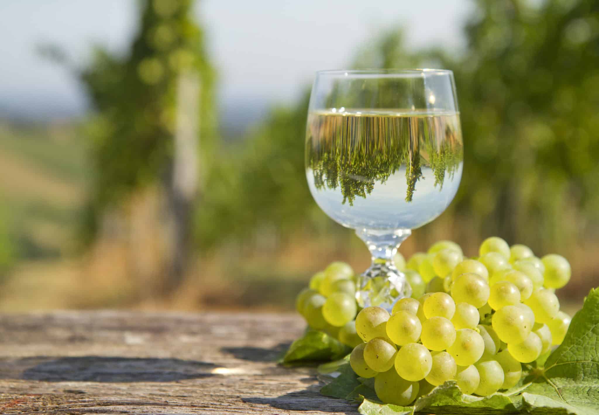 Les meilleurs vins d’Alsace - Trois Fois Vin