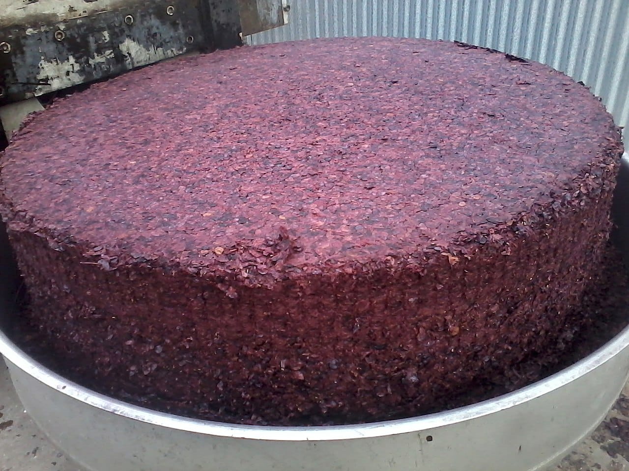 Qu'est-ce que le moût du raisin? - Trois Fois Vin